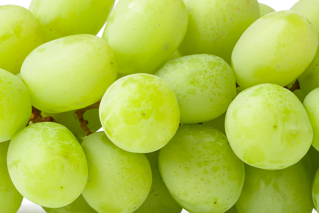 Variedades de uva de mesa – Don Ciro – Uva de Mesa